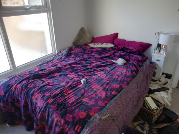 Charming And Quiet Apartment In Leafy Central Area (Family And Pet Friendly) - London