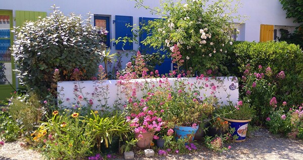 Studio Symami - Île d'Yeu