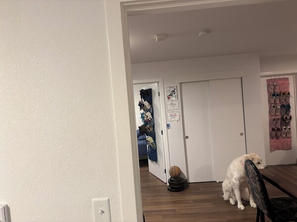 Charming 2-bedroom Apartment In Seattle With Wifi, Ac - 西雅圖, WA
