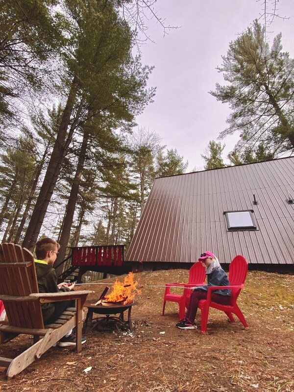 Adirondack Chalet In The Pines - Ski Whiteface - Wilmington, NY