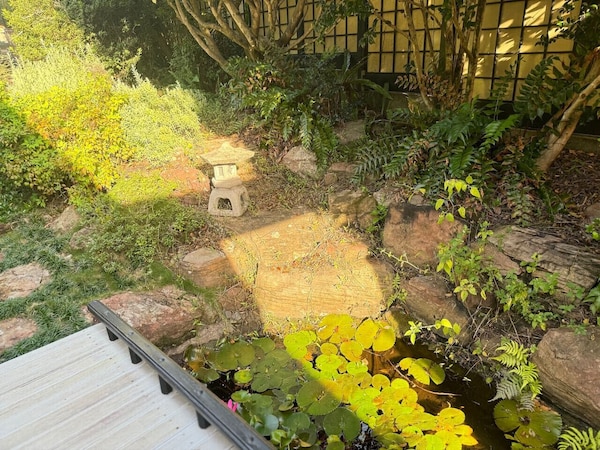 Daisy Hill Tranquil Japanese Gardens Retreat - Gold Coast