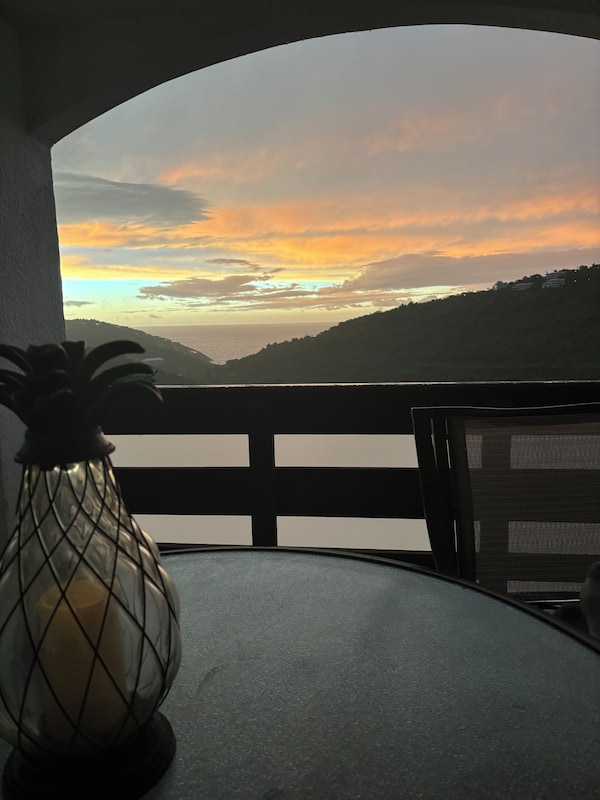 2-bedroom Condo With Wifi, Ac   View Of  Water From Deck   Pool - 聖托馬斯島