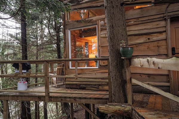 Spring Fling At The Love Shack! - Gibsons