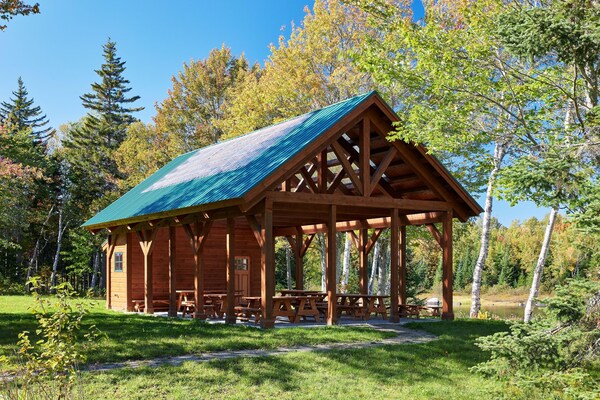 Bunk In Shared Room With Kitchenette - Maine