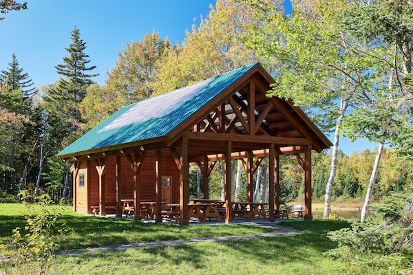 Bunk In Shared Room With Kitchenette - Maine