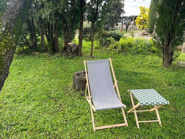 Maison Avec Piscine En Pleine Campagne Sur 5000m2 De Terrain - Montélimar