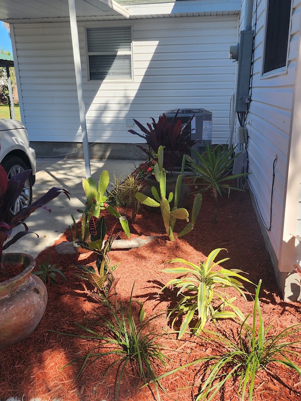 Boat. Beach. Surf !!!   5 Min From Nsb. Walk To Little Beach On Intercoastal. - New Smyrna Beach, FL