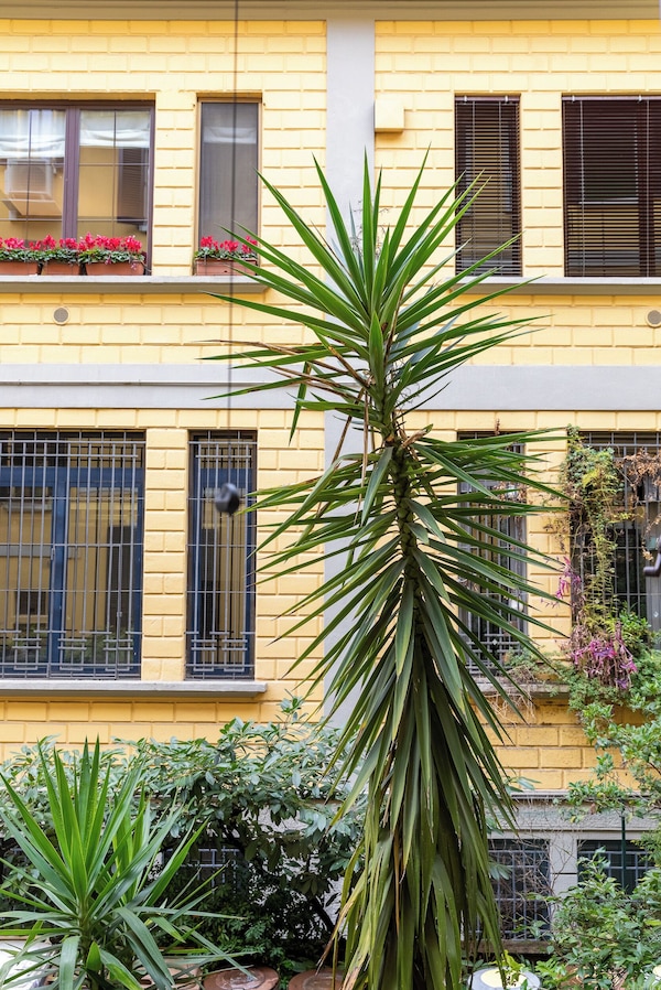 Strategic Area Of Isola-garibaldi Entire Apartment Comfortable And Functional - Milão