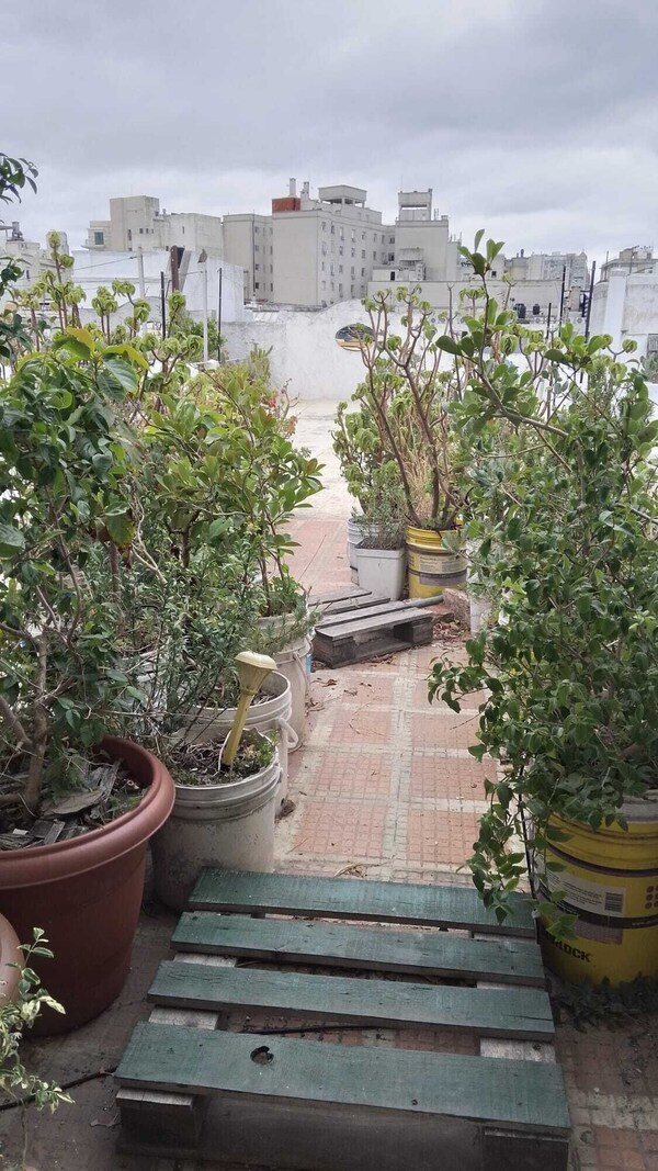 Chic 1-bedroom Condo With Ac, Wifi In Old City Montevideo On Pedestrian Street - Montevideo