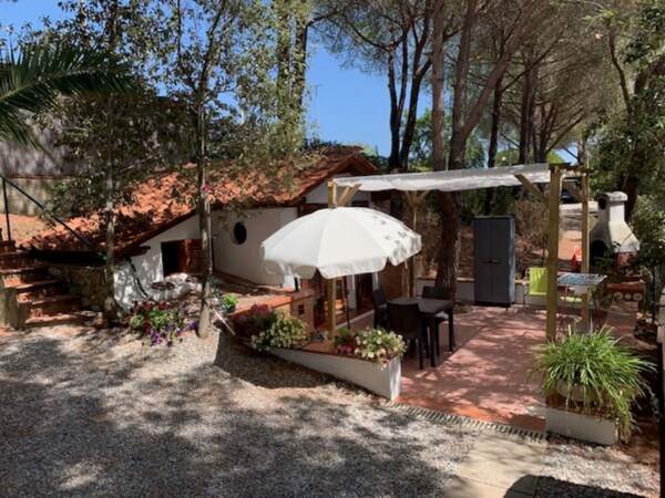 Villa Focardo - Villa Focardo - Dependance - Porto Azzurro