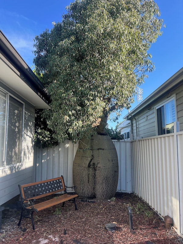 Boab Cottage - Newcastle