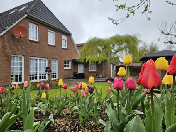 Willkommen In Unserer Liebevoll Renovierten Ferienwohnung Buhne 2 In Norddeich - Norddeich