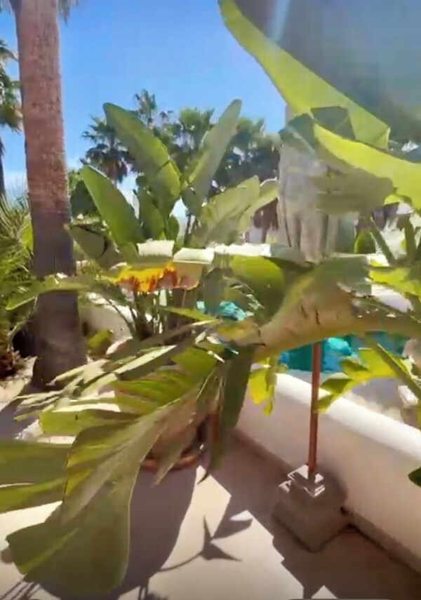 Stylish Ibiza Apartment - 5 Minutes To The Party, 10 Minutes To Eivissa! - Ibiza