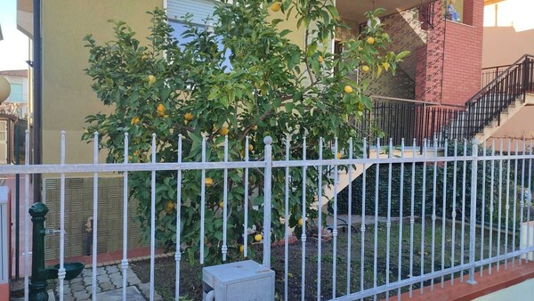 La Verdina Apartment Cnr Pisa. Large Apartment Area Cnr And Tower Of Pisa. - Pisa