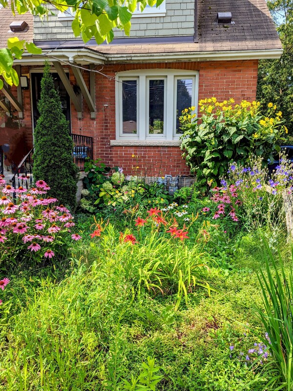 Cozy Retreat Home In Guelph. Pet-friendly! - Guelph