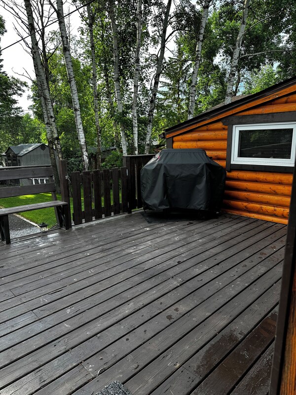 Cozy Rustic Cabin In The Beautiful Moose Mountains. At Kenosee Lake Saskatchewan - Saskatchewan