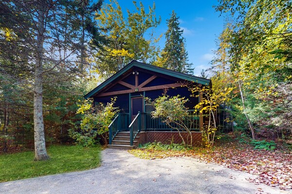 Dog-friendly Cabin With Firepit, Kitchen, Ac, & Trails For Your Next Escape - Belfast, ME