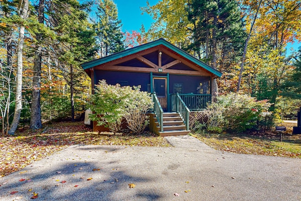 Explore Nature Cabin With Kitchen, Fireplace, Wifi,  Hiking & Ac - Belfast, ME