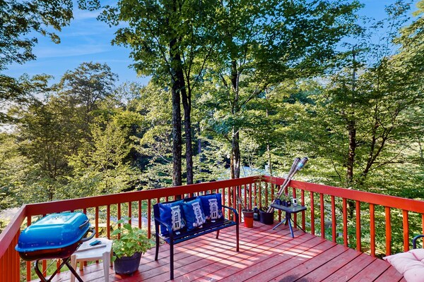 Charming Cabin With Decks, Community Amenities & Dog Friendly - Lake Ariel