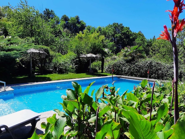 Quinta De Ribas - Les Bougainvilliers Charming House For Families Or Groups - Amarante
