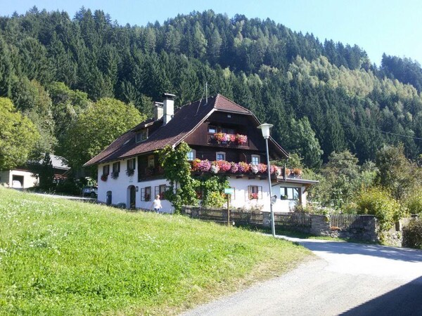 Apartment Friedrich - Farmhouse Apartments Bauerrupp - Carinzia