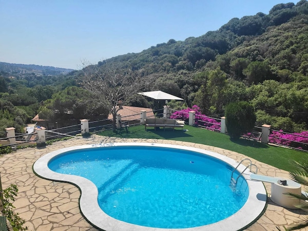 Montemar Alella: A Hidden Gem Near Barcelona - Premiá de Mar