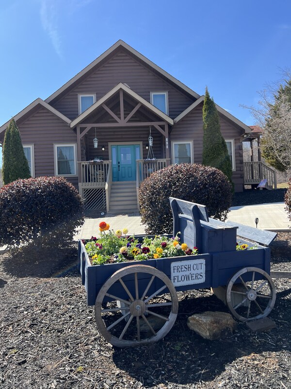 Charming 3-bedroom Cabin In Rumbling Bald, Sleeps 10: Sunsets, Views, Golf, Wine - Lake Lure, NC