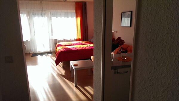 Studio 'Falk Wohnung Nr -3-' Avec Vue Sur La Montagne, Balcon Et Wi-fi - Schlossberg