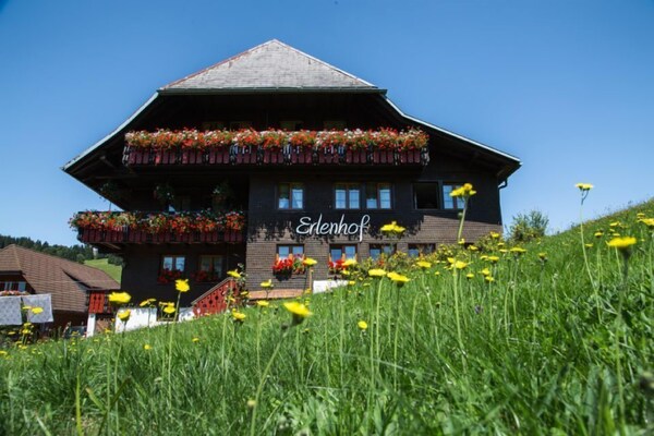 Ferienwohnung 'Erlenbach' Mit Gemeinschaftsterrasse, Gemeinschaftsgarten Und Wi-fi - Todtnauberg