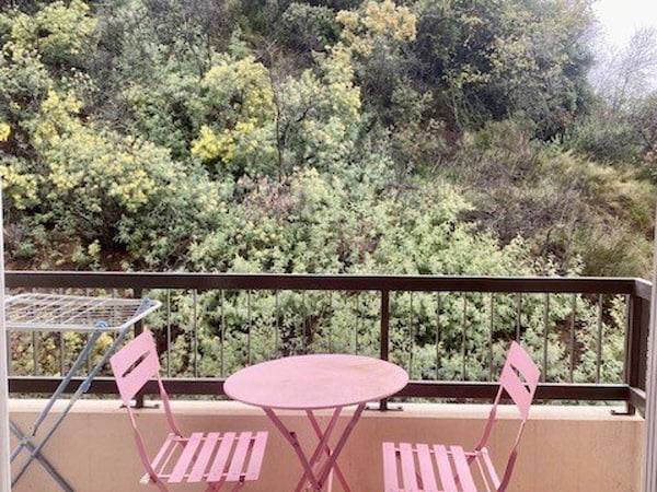Charming 3* Studio With Balcony And Wifi Near The Thermal Baths - Céret