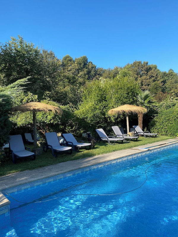 Quinta De Ribas - Les Oliviers - Quiet Gite Surrounded By Greenery - Amarante