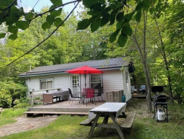 Classic Cottage Vibe : Old Roots Cottage#2, Private, Peaceful & Within Nature - Kingston