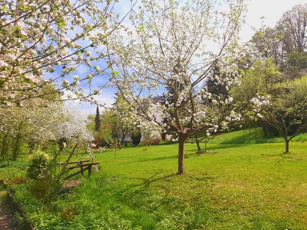 Double Room For 2 Guests With 12m² In Bad Freienwalde (Oder) (272730) - 布蘭登堡