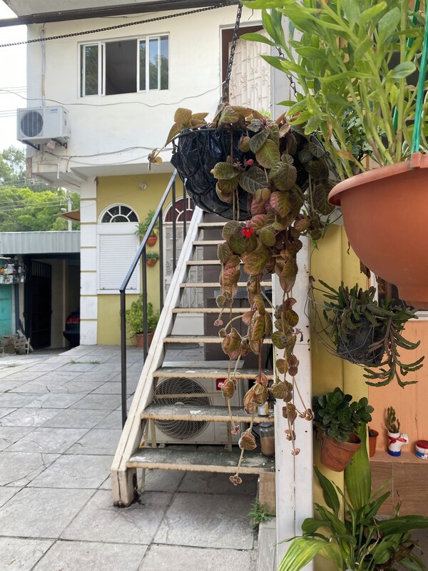 Cozy 1-bedroom Apartment With Wifi, Ac In Charming San Salvador - San Salvador