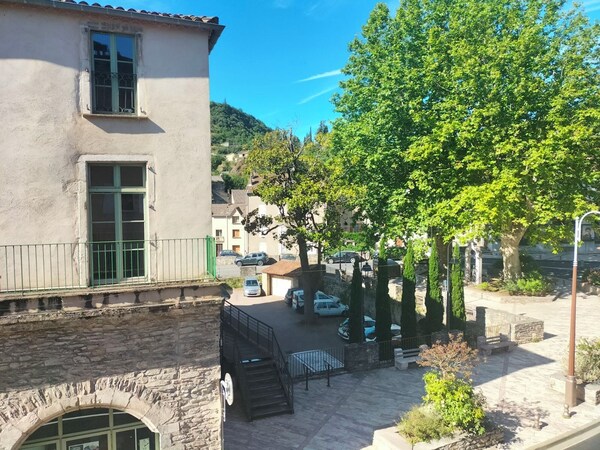 Appartement Le Petit Bonheur Nos Amis à Quatre Pattes Sont Les Bienvenus - La Salvetat-sur-Agout