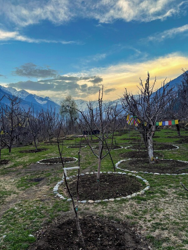 Kahaani : Luxury Chalets And Rooms With Bonfire And Apple Orchard - Himachal Pradesh