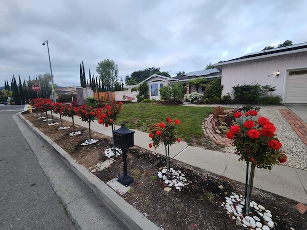 Charming 1-bedroom Available In A Lovely Home In Saratoga With Lots Of Amenities - Santa Clara, CA