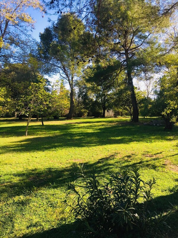 Masseria Xix Secolo Con Parco E Piscina Al Centro Della Puglia - Mottola