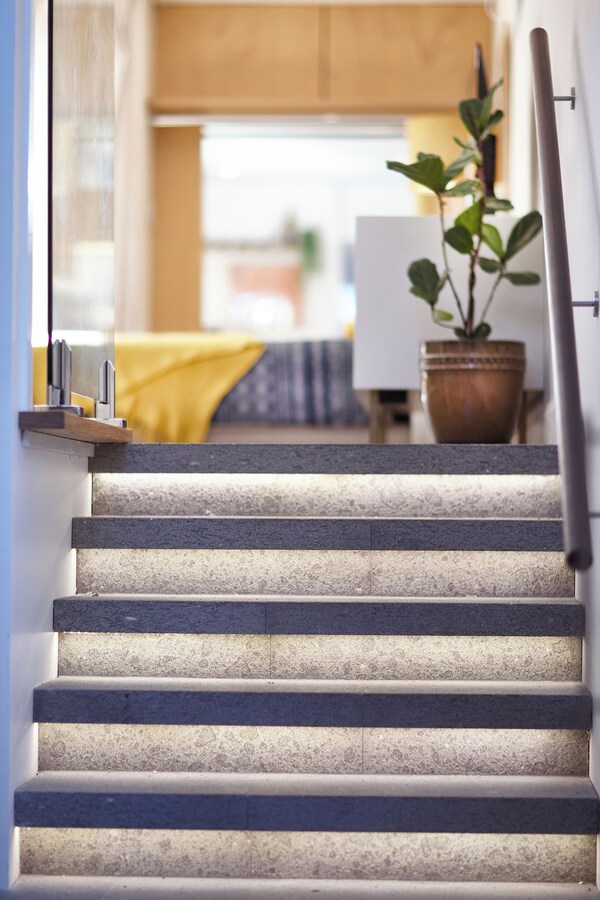 Beautifully Appointed Bulli Studio Nestled Between Coast And Escarpment - Bulli