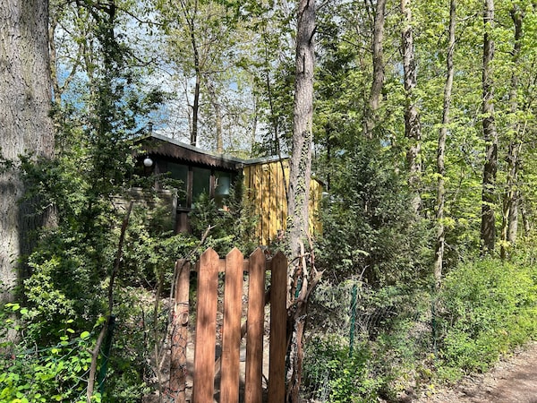 Bungalow Für 4 Gäste Mit 30m² In Coswig (Anhalt) (272773) - Coswig (Anhalt)