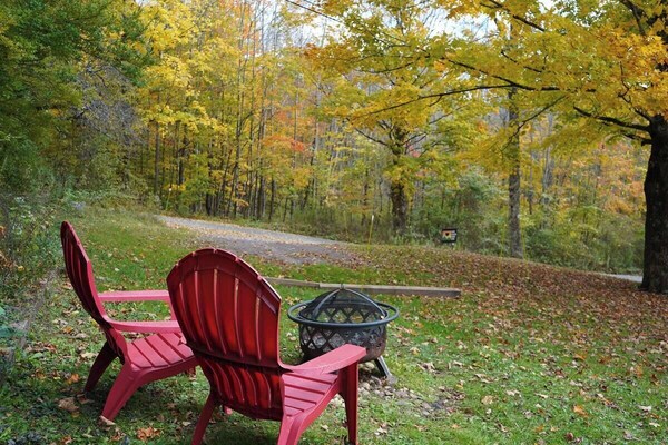 Groovy Chalet: Cool Mid-century Catskill Mountain Digs! - Margaretville, NY