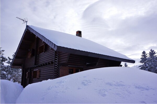 "Les Rondins", Chalet Guzet Neige, Départ Direct Piste Et Rando, Vue Panoramique - Guzet-Neige