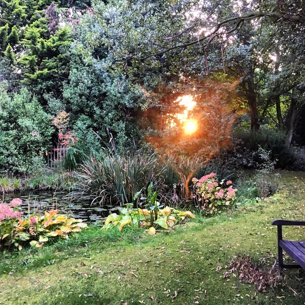 Marama Cottage  2bdrm Country Charm  Home Away From Home 15 Min To Cbd - Prebbleton