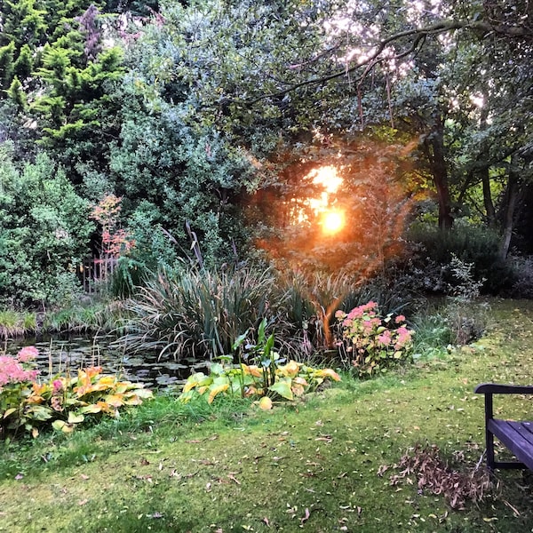 Marama Cottage 2bdrm Country Charm Home Away From Home 15 Min To Cbd - Prebbleton