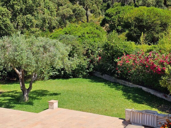 C21locationvacances Villa Du Cap, Piscine, Plage à Pied. - Bormes-les-Mimosas