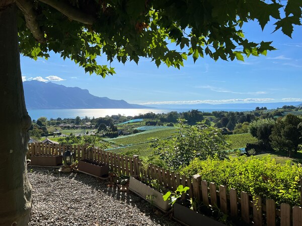 Holiday Apartment Chailly-montreux For 1 - 6 Persons With 2 Bedrooms - Holiday Apartment In One Or M - Montreux