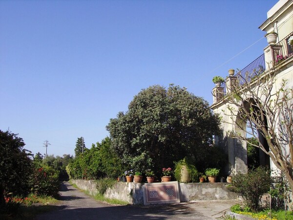 Villademaria1: Between Etna And The Sea! - Milo
