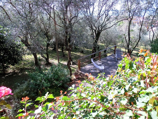 Delightful 4-bedroom Villa In Private Olive Grove With Wifi In Chiavari - Chiavari