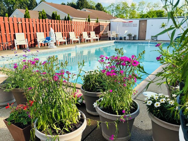 Large King Room Across From Sports Center - Calypso, Sandusky