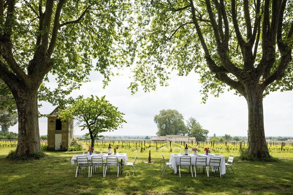 Château Au Cœur Du Domaine Viticole - Gironde